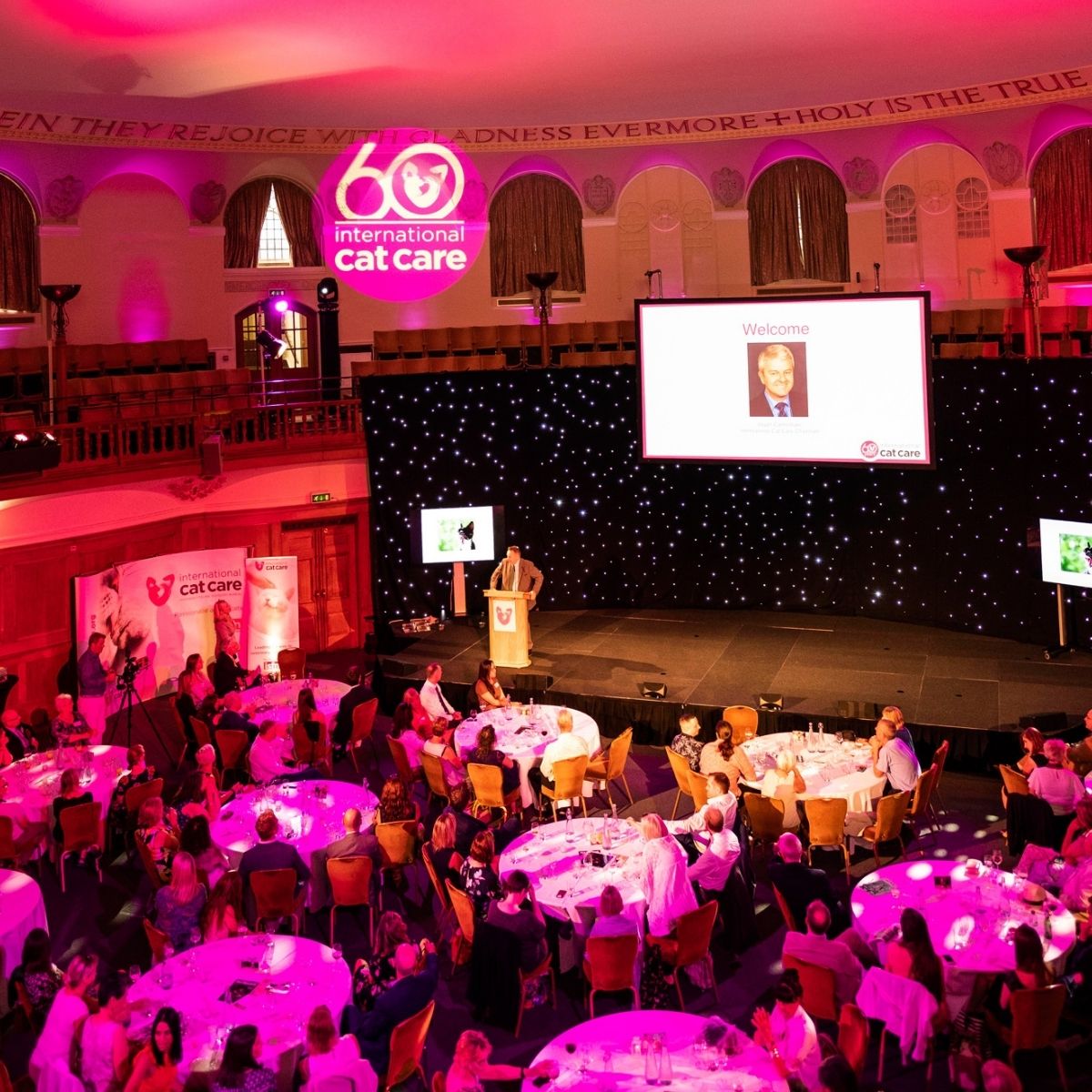 ICatCare Awards and 60th Birthday Celebrations | ProtectaPet & ProtectaPet