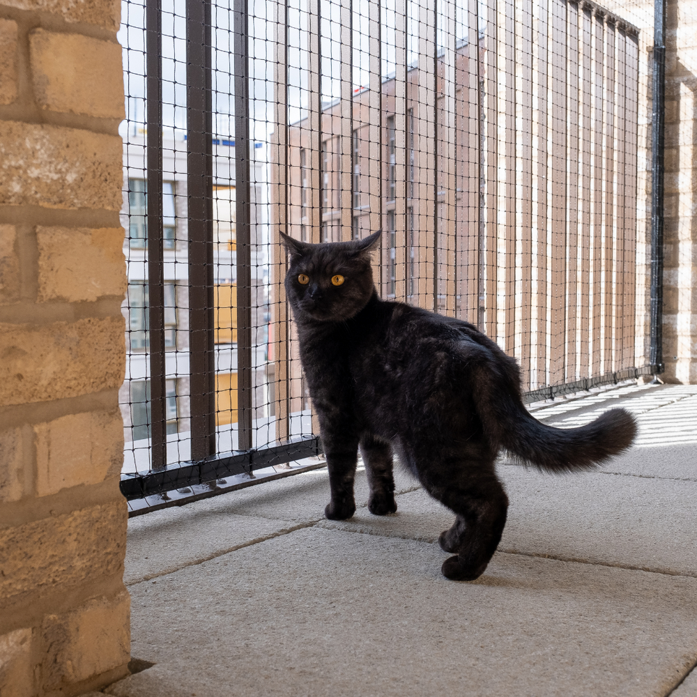 Cat Balconies for DIY Cat Balcony Installation | ProtectaPet & ProtectaPet