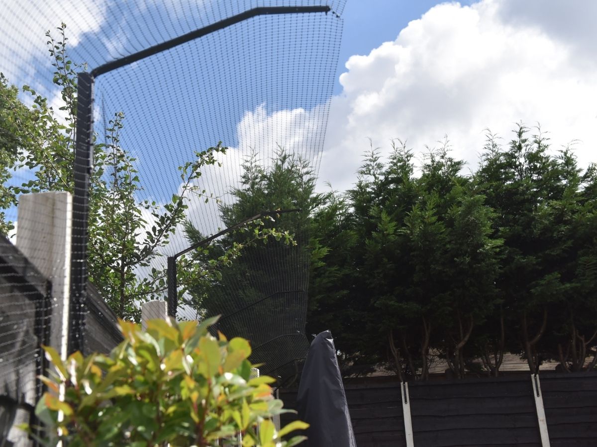 Cat Fencing Gallery, Cat Enclosure, Catio | ProtectaPet