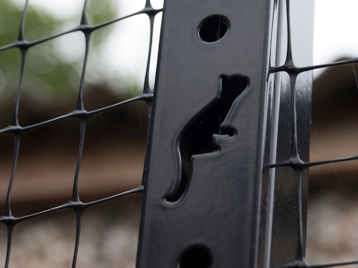 Cat Fencing Gallery, Cat Enclosure, Catio | ProtectaPet