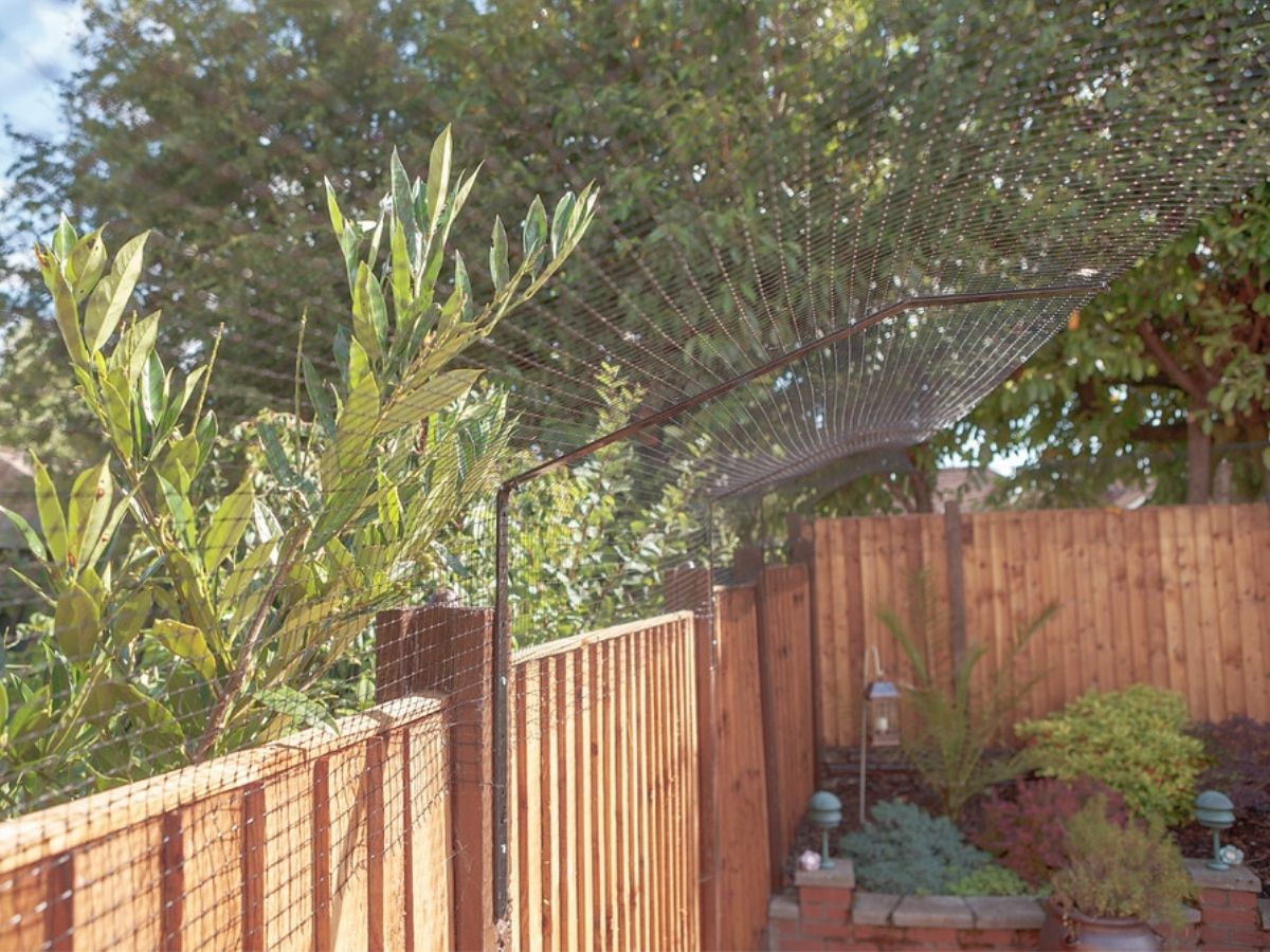 Cat Fencing Gallery, Cat Enclosure, Catio | ProtectaPet