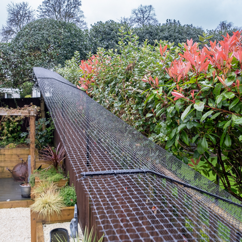 DIY Cat Enclosures Cat Fence Barriers & Catios | ProtectaPet