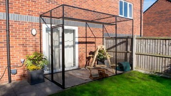 Cat Runs for Safe Outdoor Access | Secure Cat Runs | ProtectaPet ...