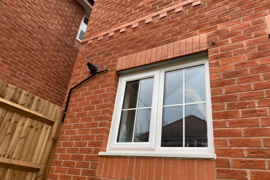 Cat Fence Barriers | Cat Proof Garden | ProtectaPet