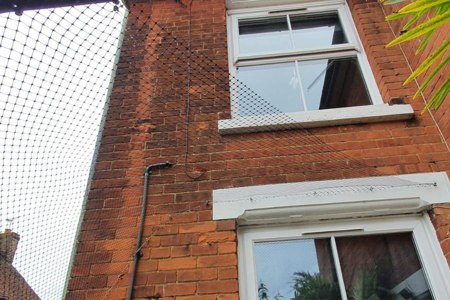 Cat Fence Barriers | Cat Proof Garden | ProtectaPet