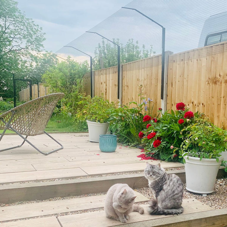 Cat Fence Barrier & Cat Fence Brackets | 1m+ | ProtectaPet