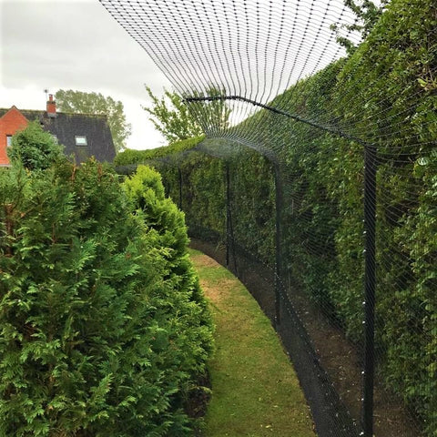 DIY Cat Enclosures Cat Fence Barriers & Catios | ProtectaPet